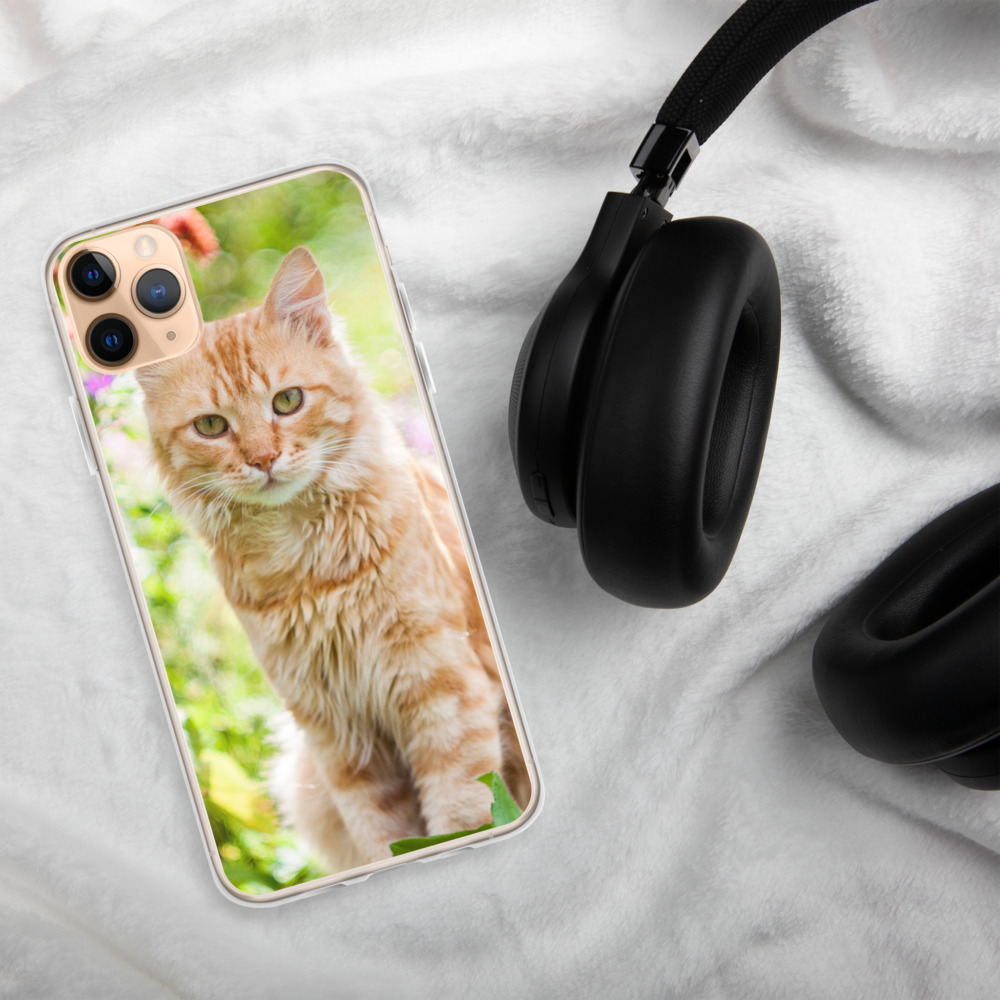Tabby Cat iPhone Case — zapppBUY